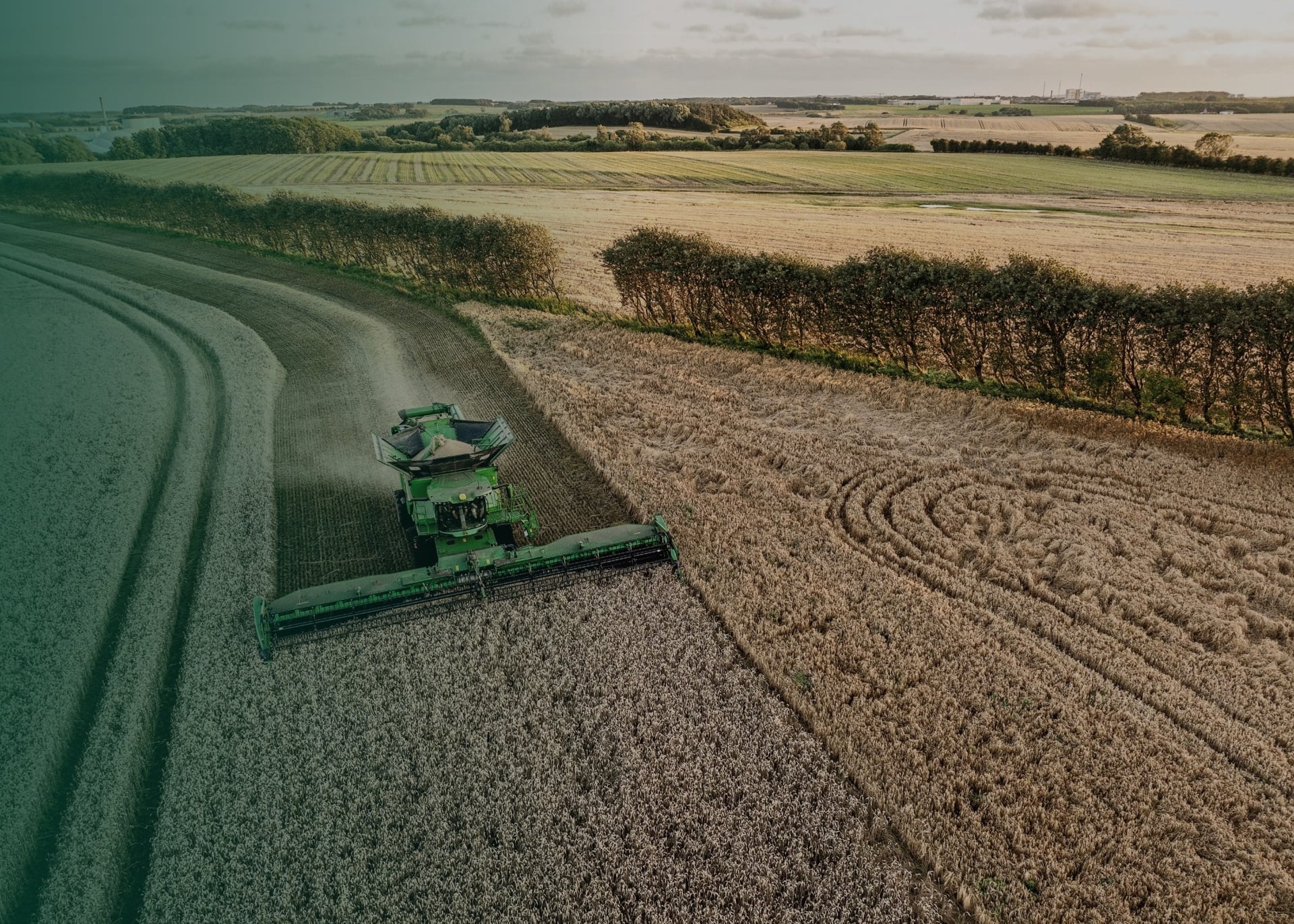 DLG Group – Your partner for agriculture,animal nutrition, housing, and ...