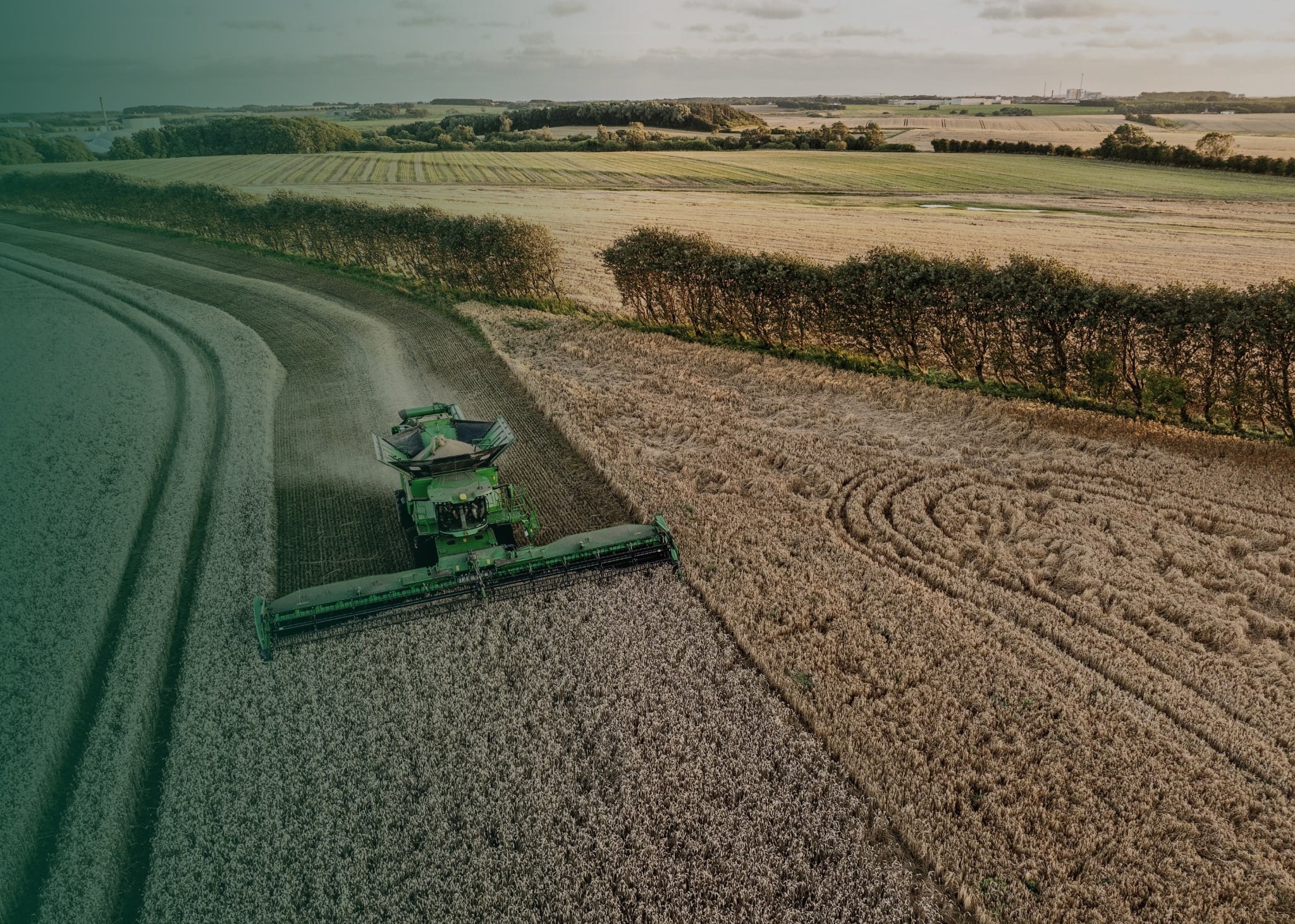 DLG Group – Your partner for agriculture,animal nutrition, housing, and ...